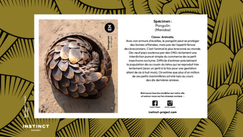 Instinct Project ? Qu'est ce que c'est ? - TooGoodStudio